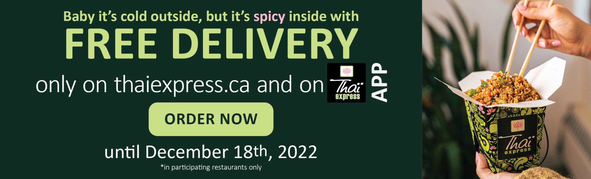 Thai Restaurant | Authentic Thai Flavours | Thai Express